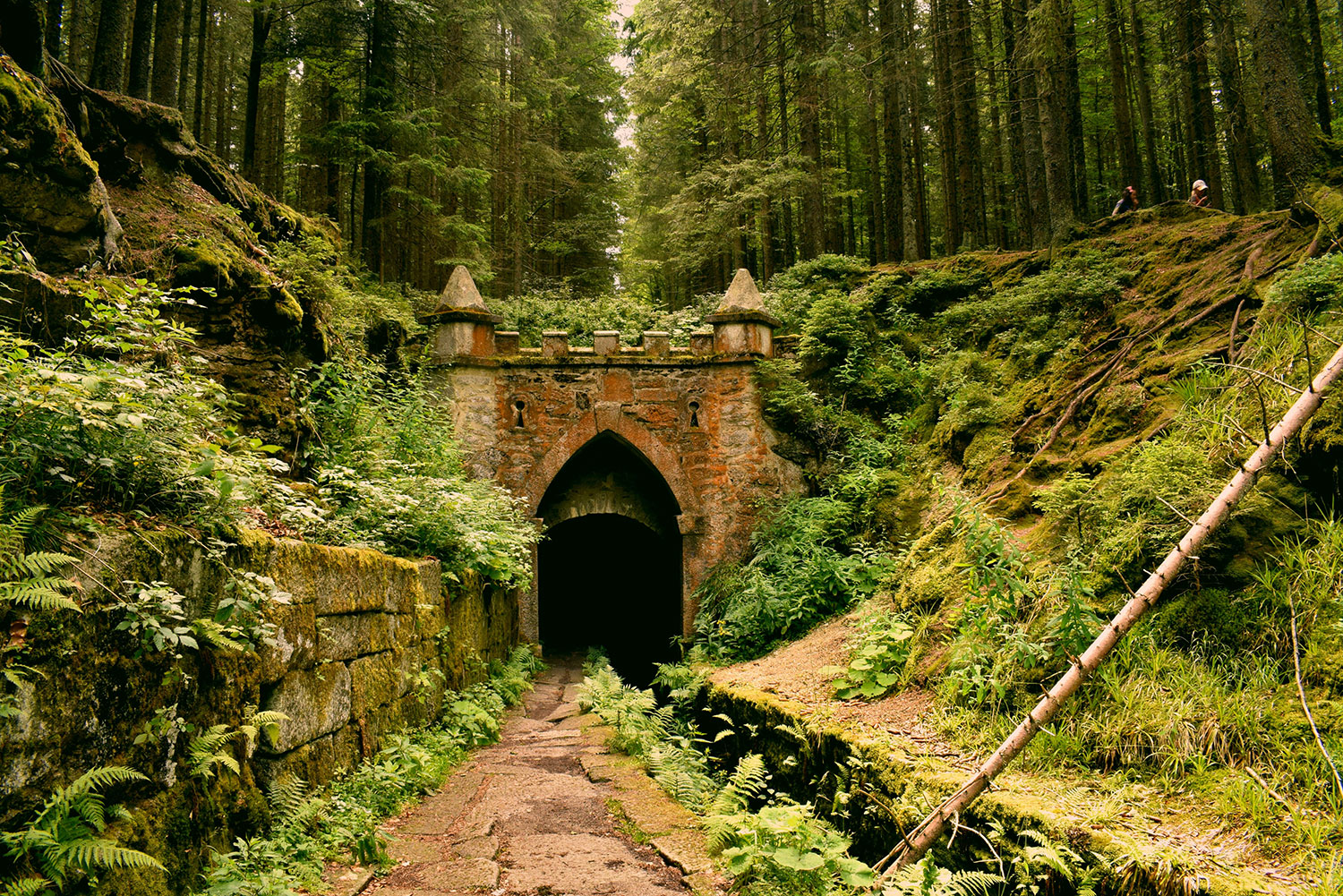 Quick RPG Plot Ideas No 4 GamesHound Quick RPG Plot Ideas No 4 GamesHound